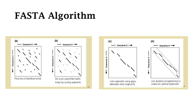 FASTA | PDF | Databases | Computer Software and Applications
