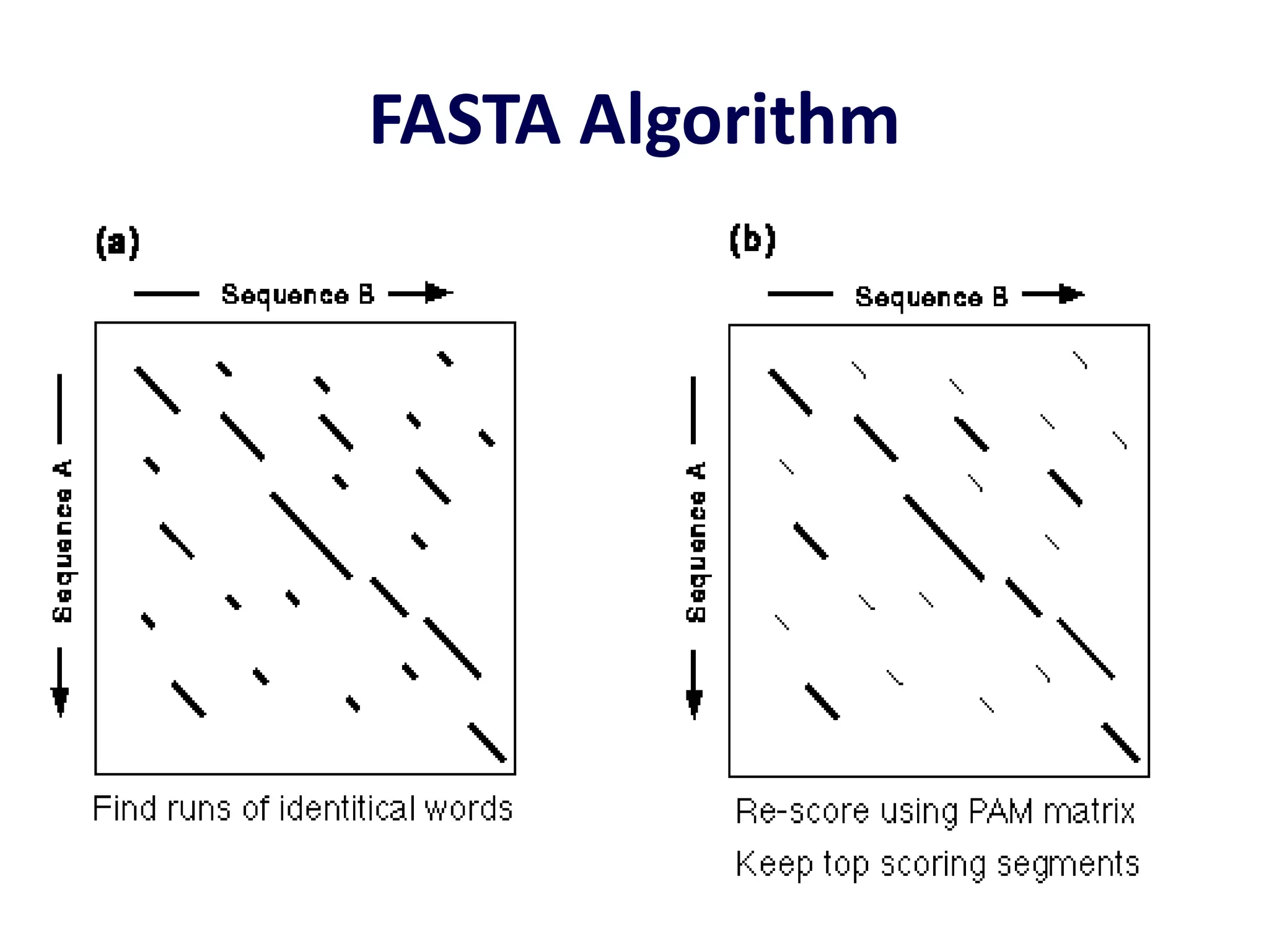 Fasta : steps, features, algorithm, result etc. | PPTX