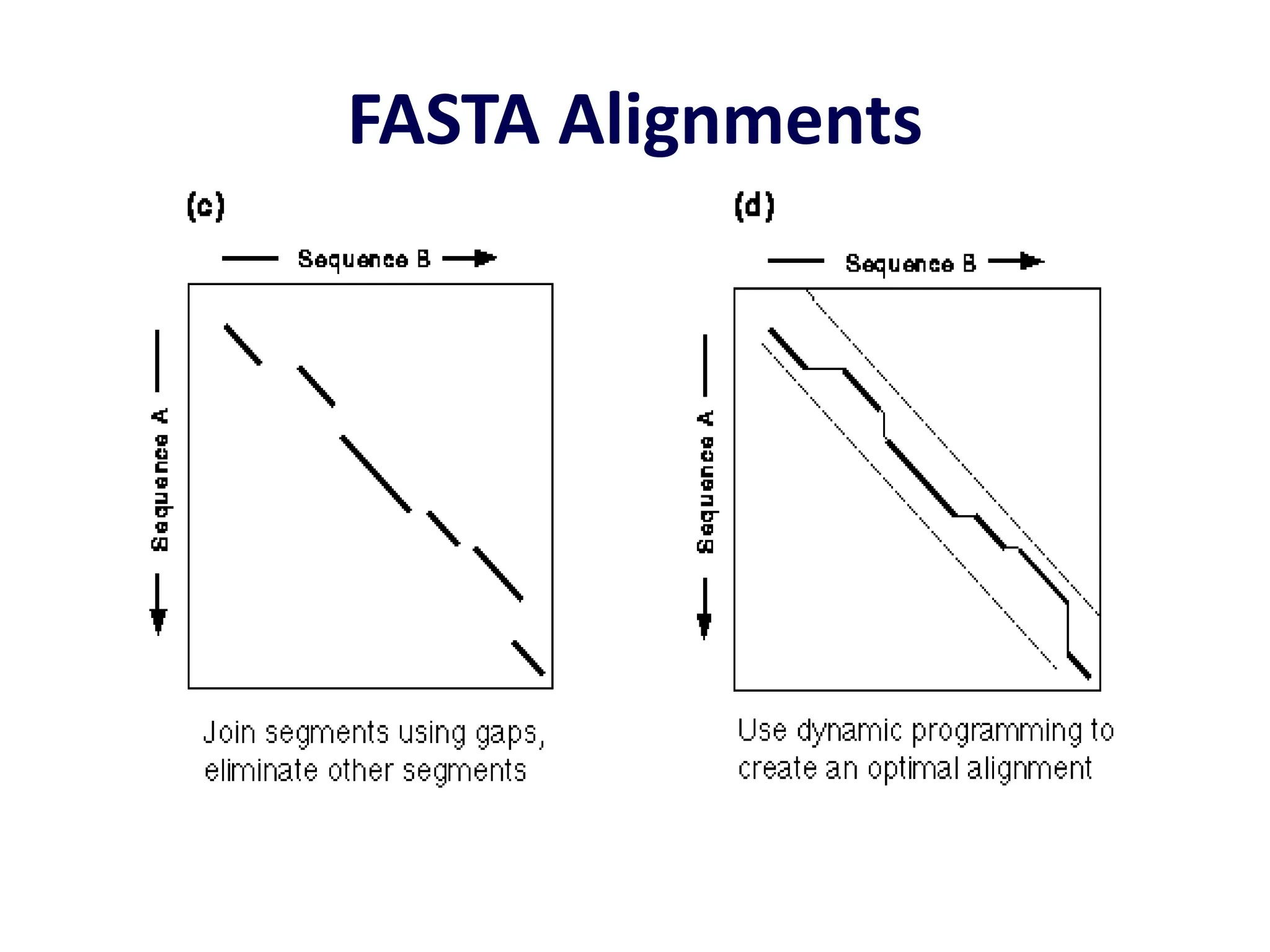 Fasta : steps, features, algorithm, result etc. | PPTX