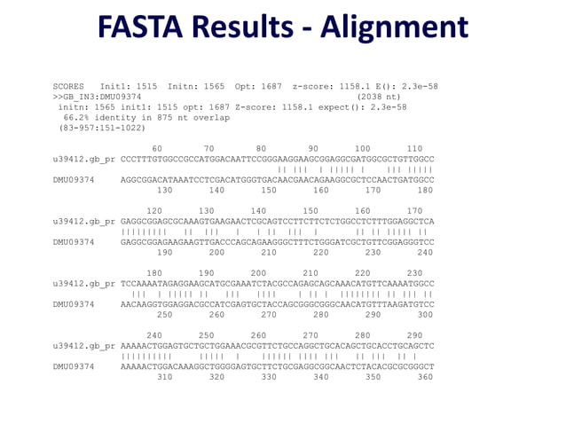 Fasta : steps, features, algorithm, result etc. | PPTX