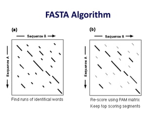 Fasta : steps, features, algorithm, result etc. | PPTX