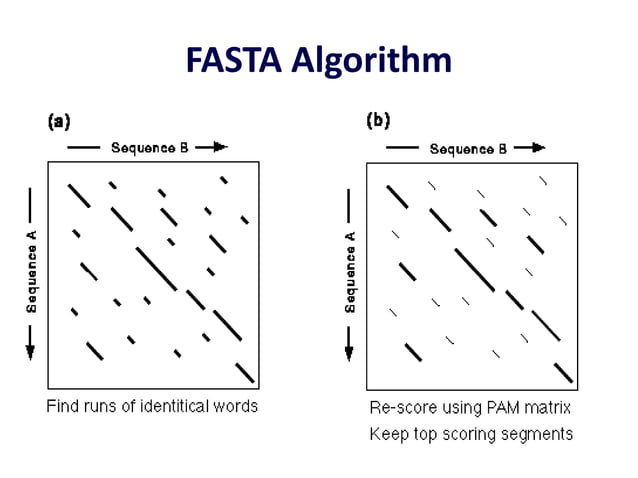 Fasta : steps, features, algorithm, result etc. | PPTX