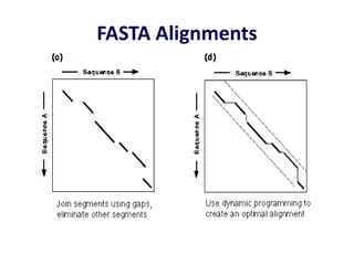 Fasta : steps, features, algorithm, result etc. | PPTX