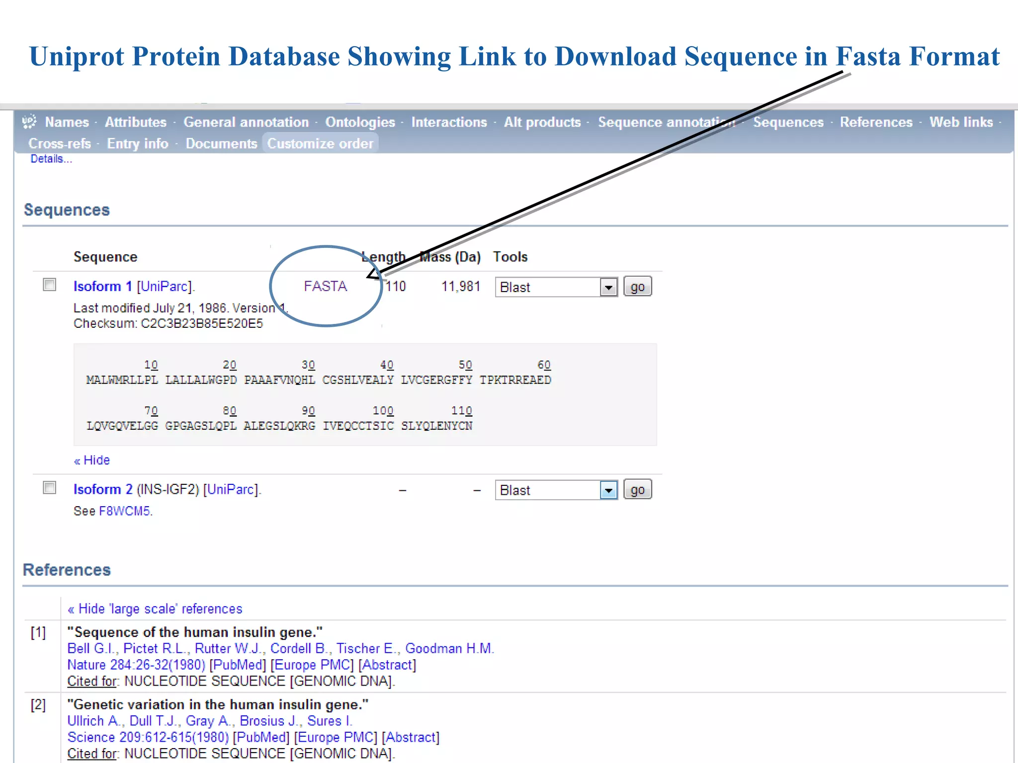 Fasta file extensions & meaning | PPT