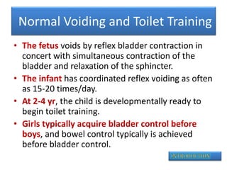 Fast and safe technique for collection of urine in newborns | PPTX