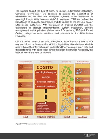 Faster R & D Analysis Tool - TRG | PDF