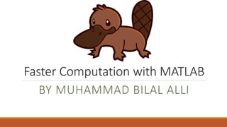 Faster computation with matlab | PPT