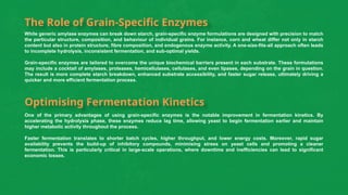 Optimising Grain Fermentation with Enzyme Science | PPTX