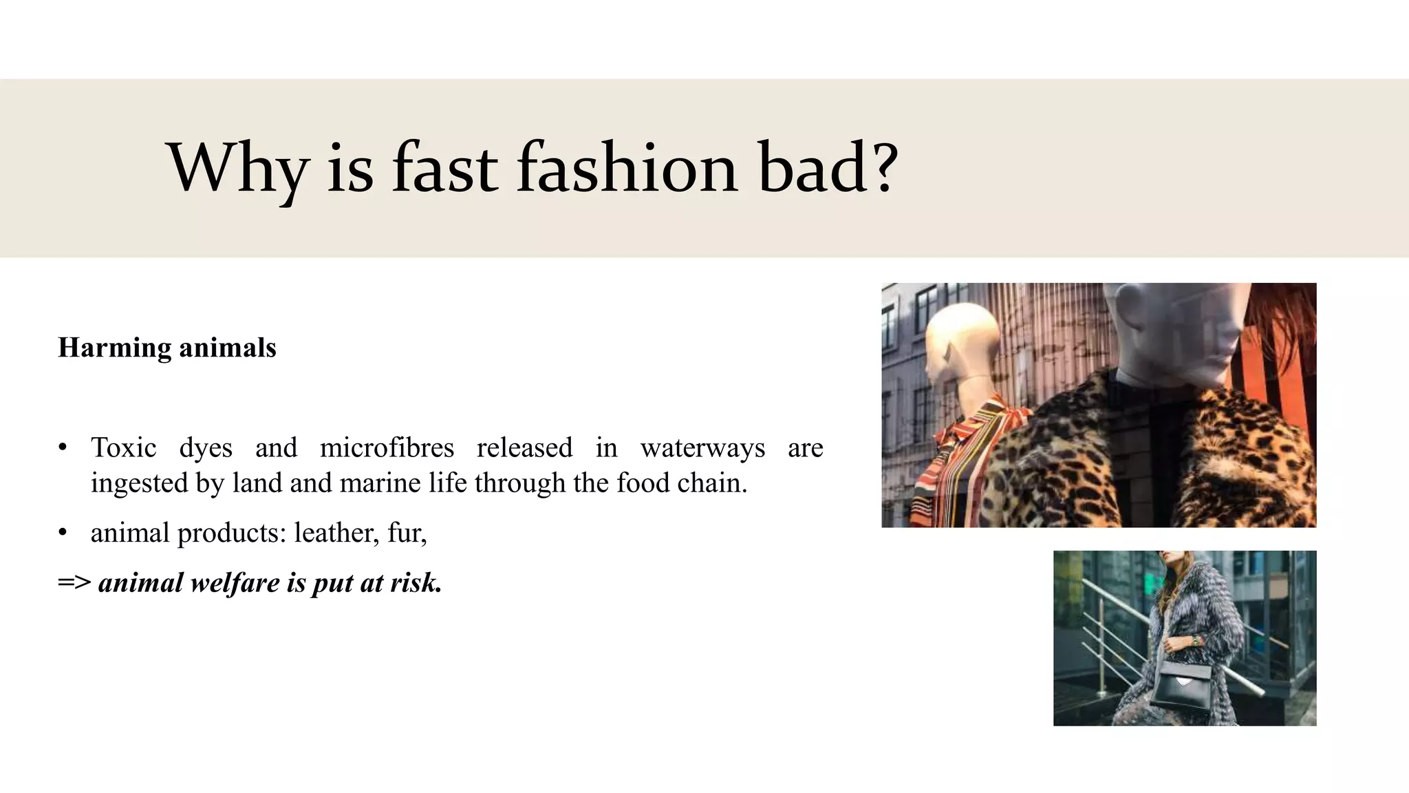 Fast fashion.pptx