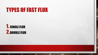 Fast flux | PPTX