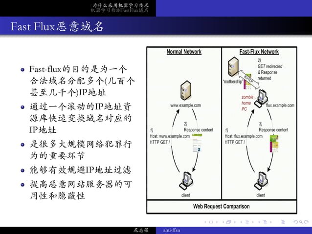 Fast flux domain detection | PDF