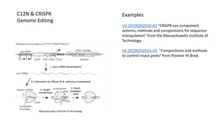 Ten Fast Growing Technologies | PPTX