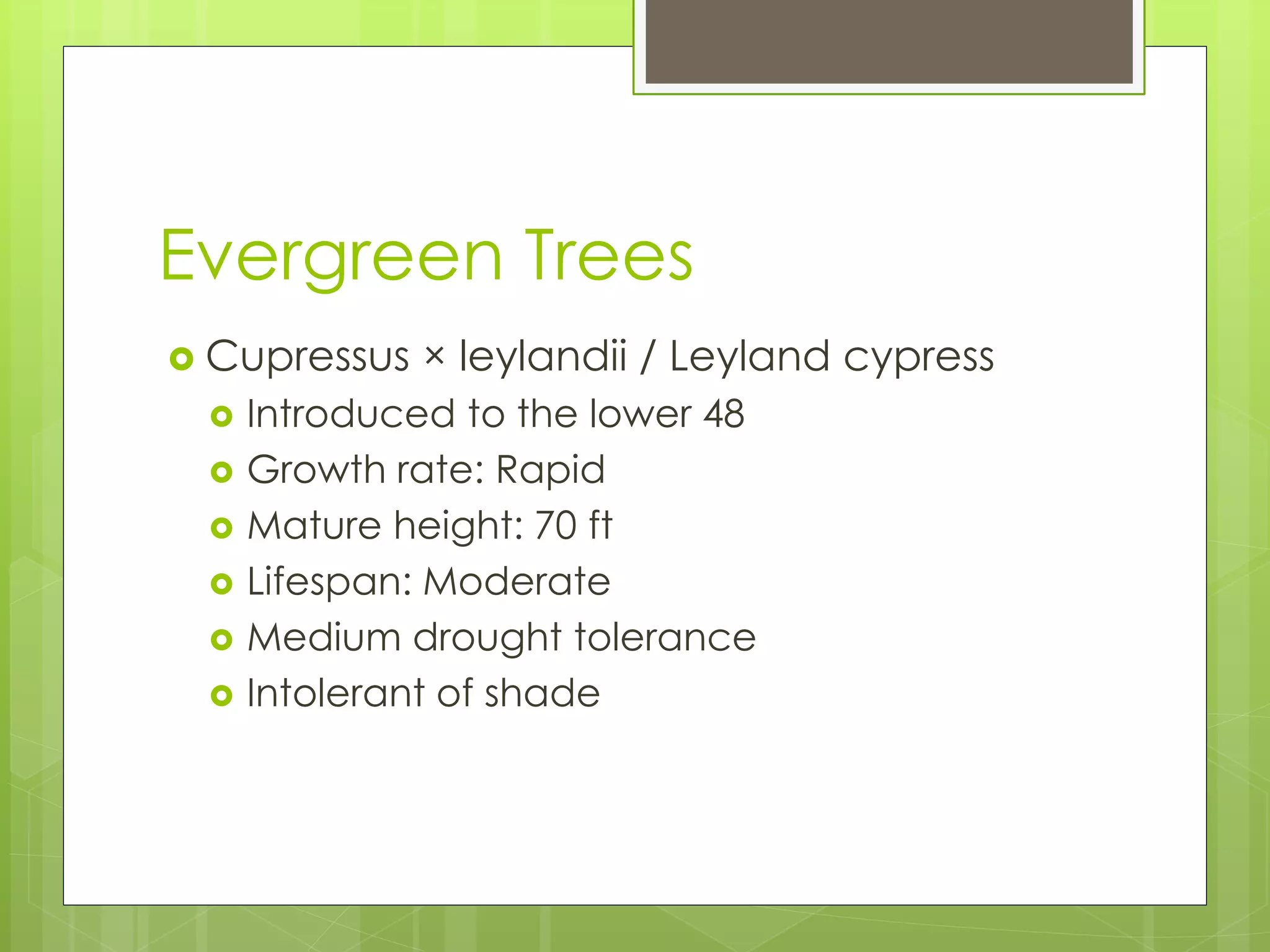 Fast Growing Trees & Shrubs | PPTX