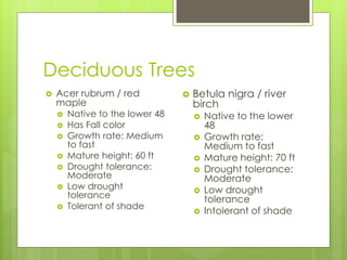 Fast Growing Trees & Shrubs | PPTX