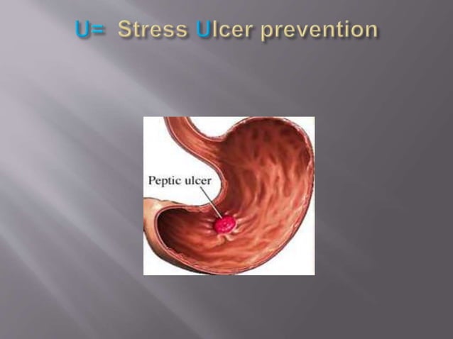 Fast hug bid | PPTX | Lung and Respiratory Health | Diseases and Conditions