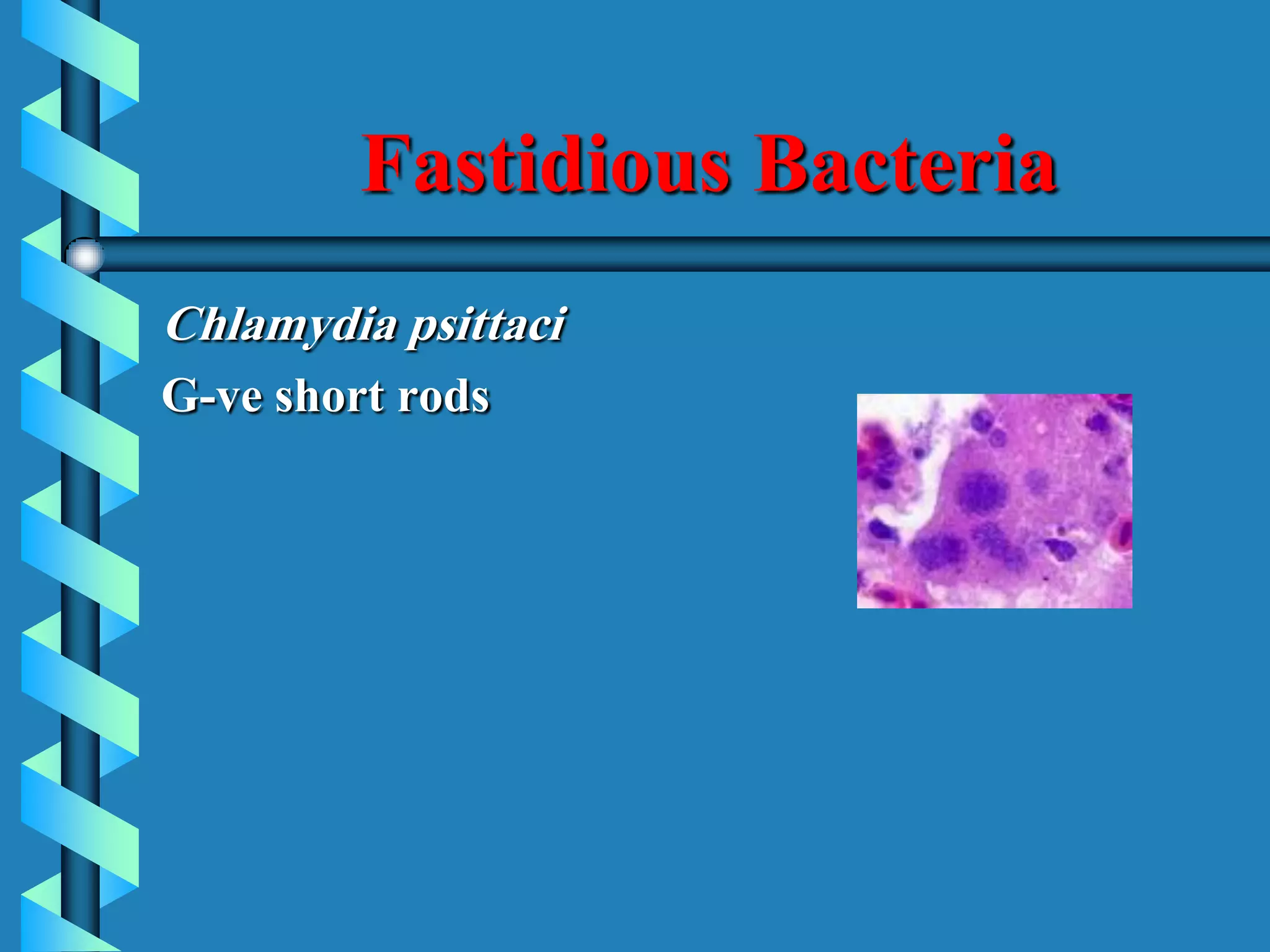 Fastidious Bacteria.pdf