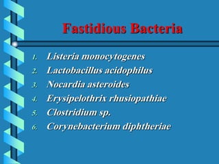 Fastidious Bacteria.pdf