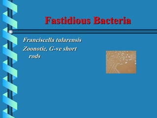 Fastidious Bacteria.pdf