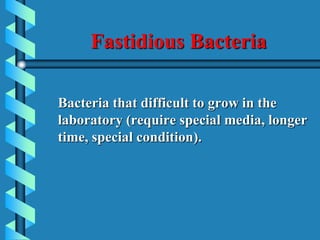 Fastidious Bacteria.pdf