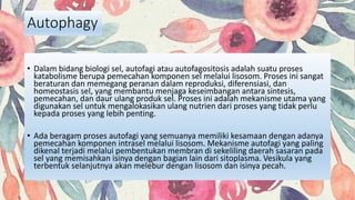 Fasting and autophagy | PDF