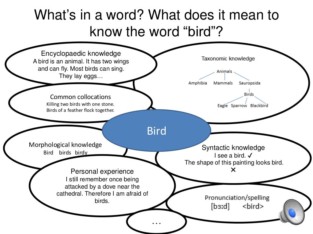 Fast mapping presentation by Professor Andreas Rohde