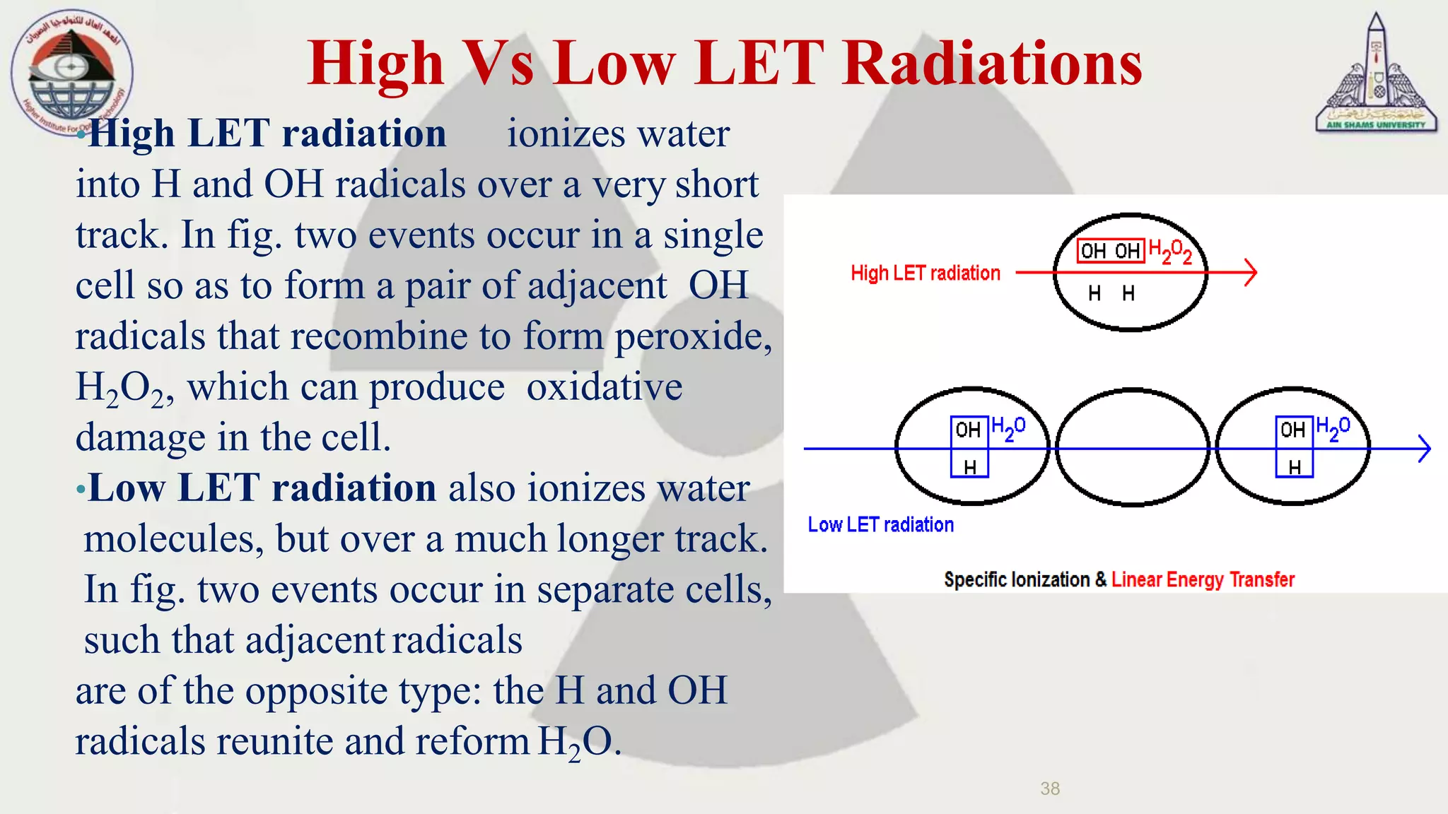 Fast neutron beam therapy | PDF