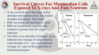 Fast neutron beam therapy | PDF