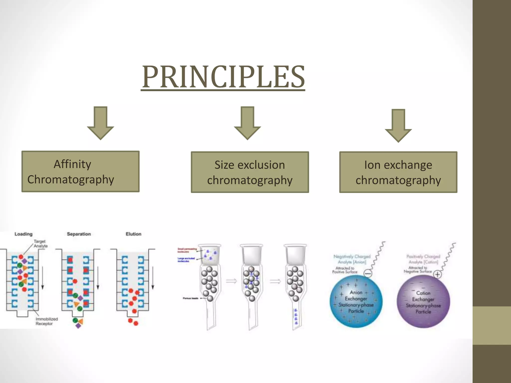 FAST PROTEIN LIQUID CHROMATOGRAPHY.pptx
