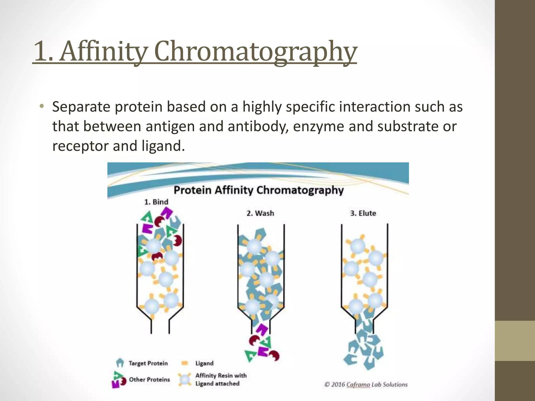 FAST PROTEIN LIQUID CHROMATOGRAPHY.pptx
