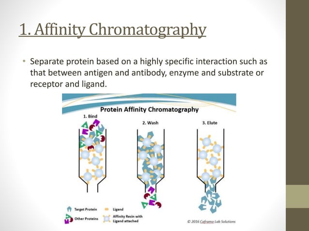 FAST PROTEIN LIQUID CHROMATOGRAPHY.pptx