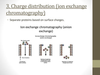 FAST PROTEIN LIQUID CHROMATOGRAPHY.pptx