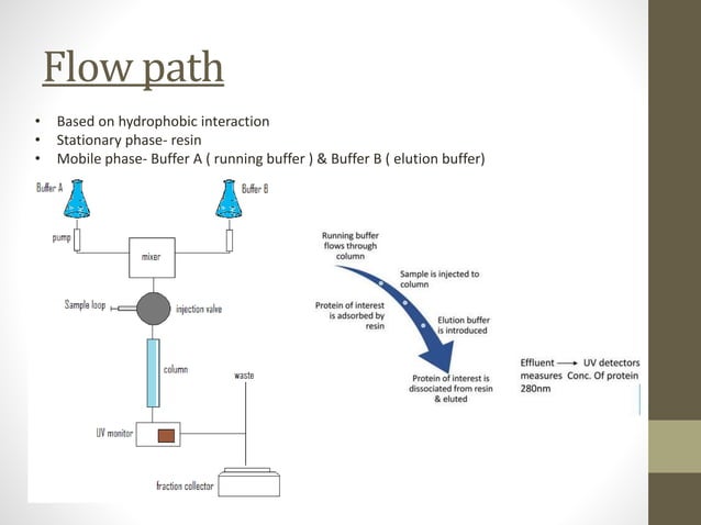 FAST PROTEIN LIQUID CHROMATOGRAPHY.pptx