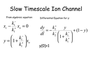 Fast Slow Timescale Analysis.1 | PPT
