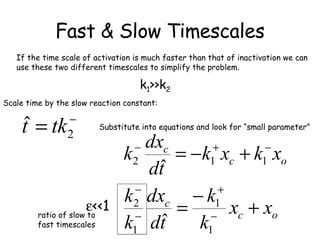 Fast Slow Timescale Analysis.1 | PPT