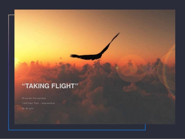 Taking Flight - DISC personality profile Taking Flight - DISC personality profile