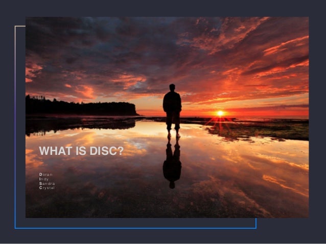 Taking Flight - DISC personality profile Taking Flight - DISC personality profile