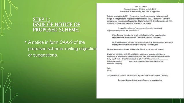 Fast track merger | PPTX | Business Accounting & Finance | Business