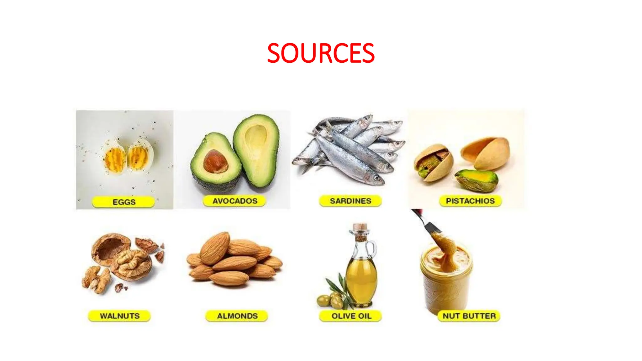 FAT - definition, sources , types and functions.pptx