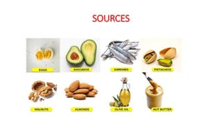 FAT - definition, sources , types and functions.pptx