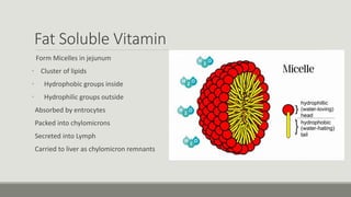 Fat -soluble vitamins.pptx