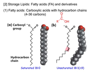 fat and oil chemistry.pptx