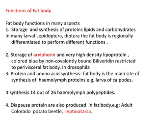 Fat body –Structure and functions = Entomology | PDF