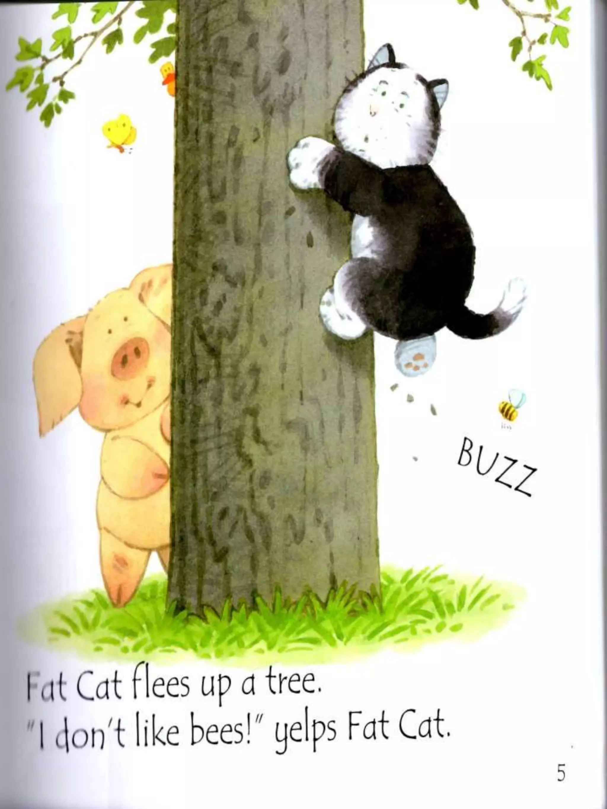 Fat cat on a mat | PDF