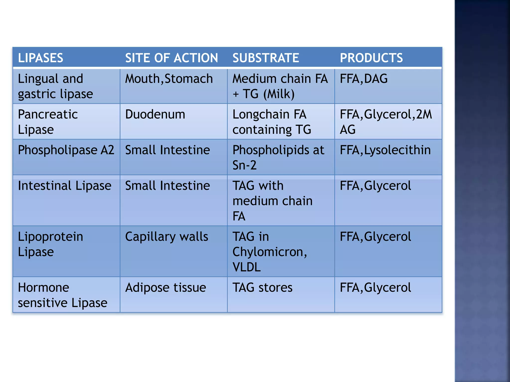 Lipids Digestion and absorption | PPTX