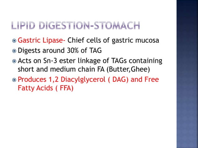 Lipids Digestion and absorption | PPTX