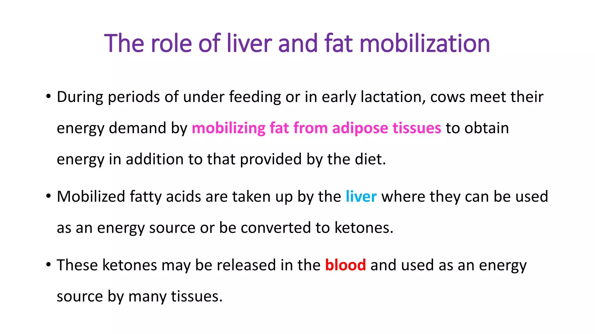 Fat digestion and metabolism in ruminants | PPTX