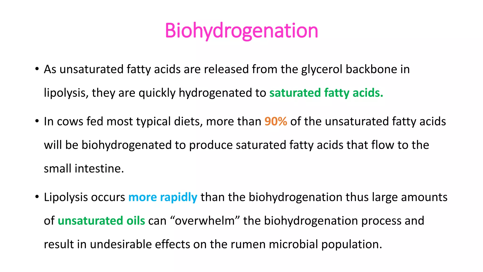 Fat digestion and metabolism in ruminants | PPTX