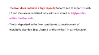 Fat digestion and metabolism in ruminants | PPTX
