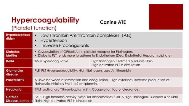 Feline Arterial Thromboembolism | PDF