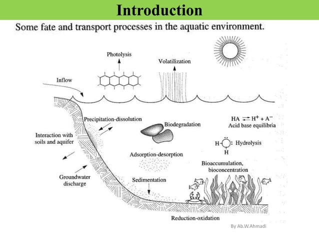 Fate Contaminants.pptx